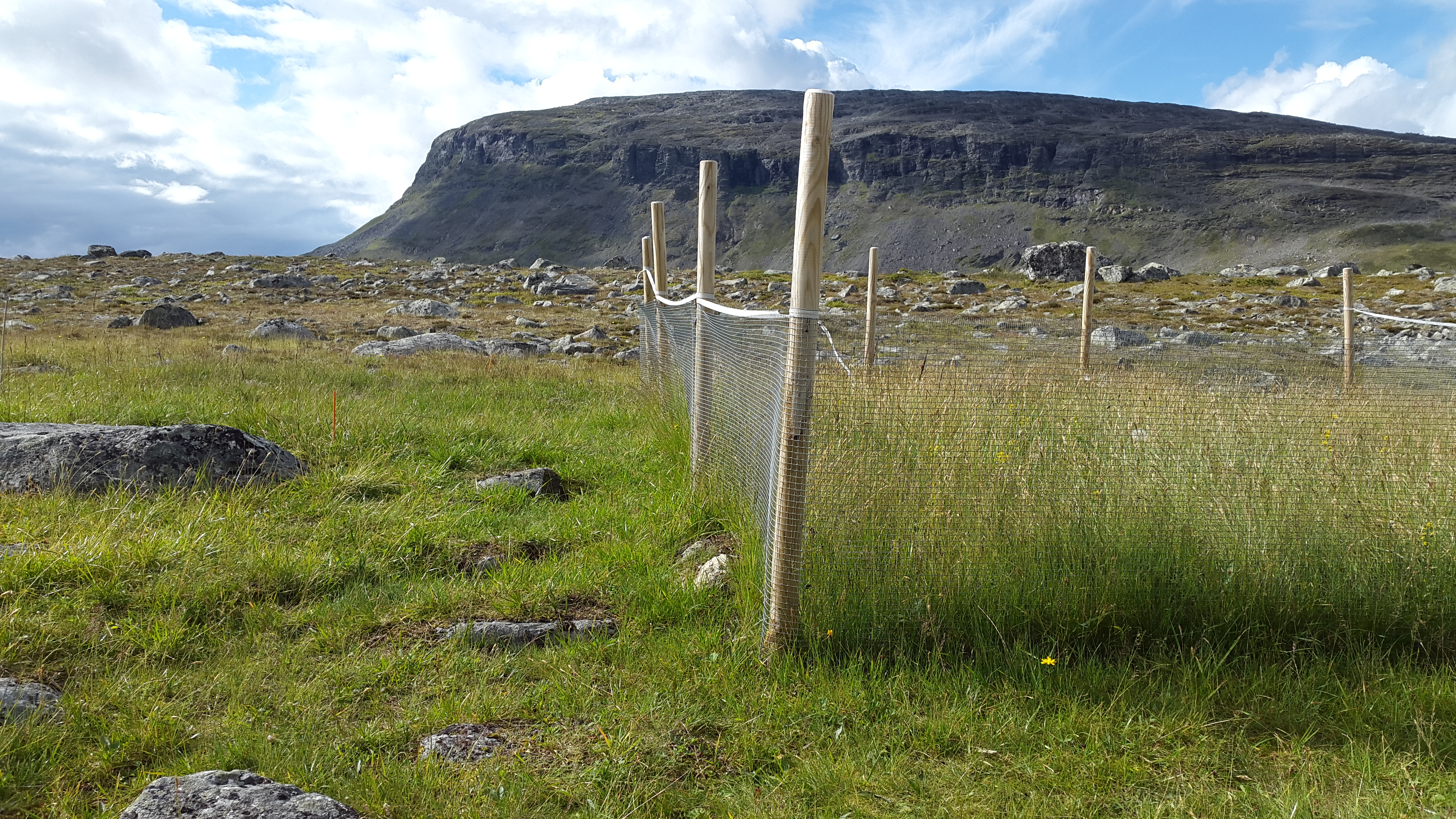 Nutrient Network (NutNet) | Eskelinen Research Group