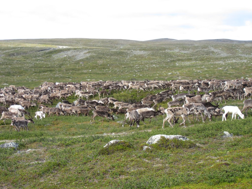 Nutrient Network (NutNet) | Eskelinen Research Group